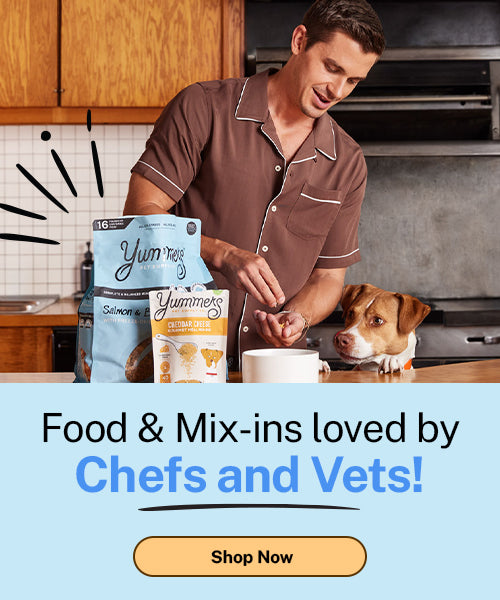 Gourmet pet food and mix-ins | Yummers