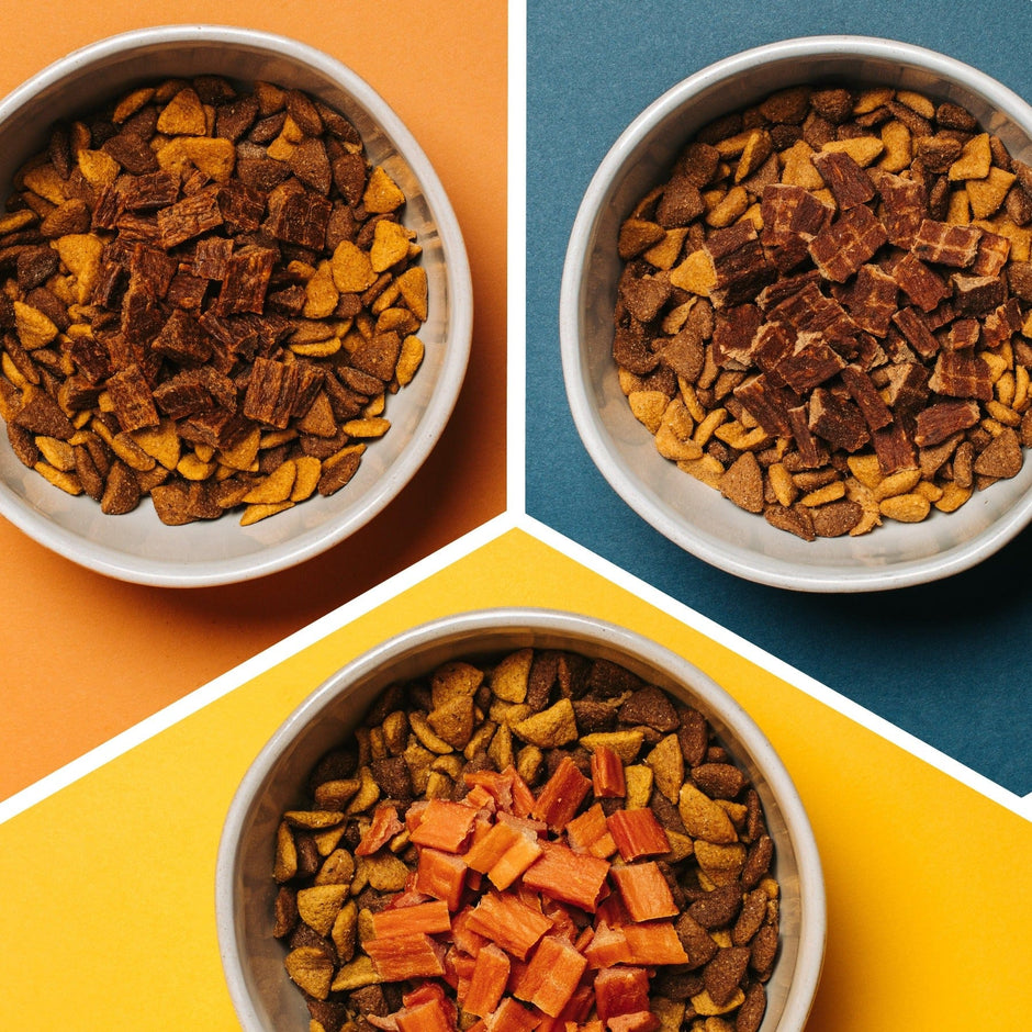 Yummers Pets Food and Meal Topper Bundles for Dogs