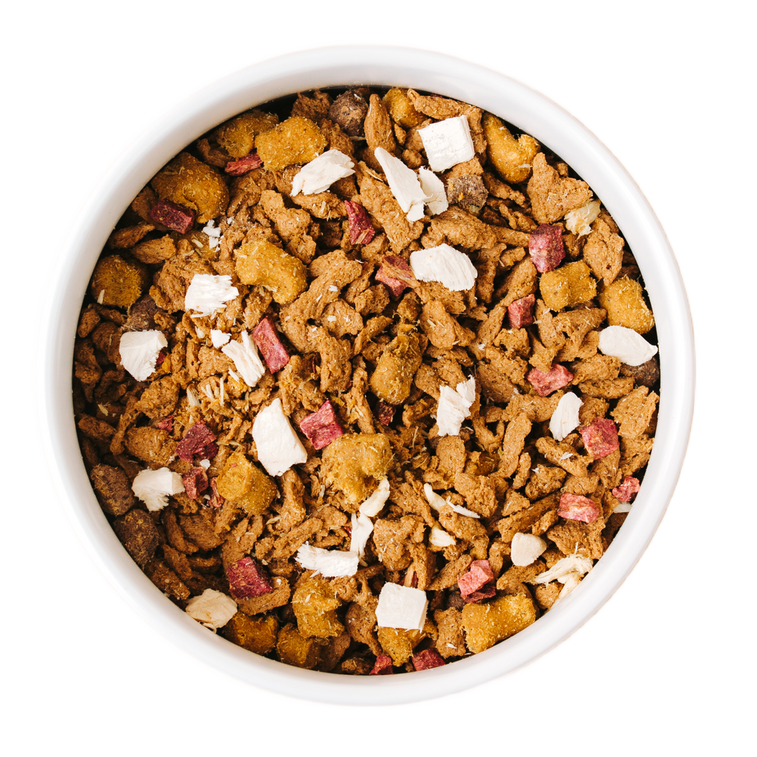 Premium Pet Meal Toppers & Supplements for Dogs & Cats | Yummers