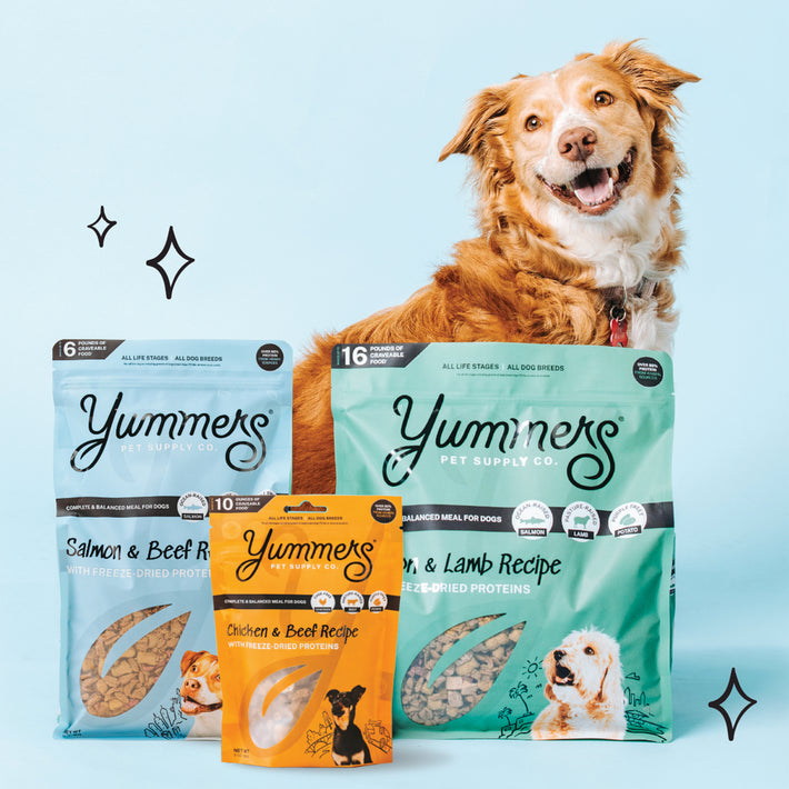 Gourmet pet food and mix-ins | Yummers