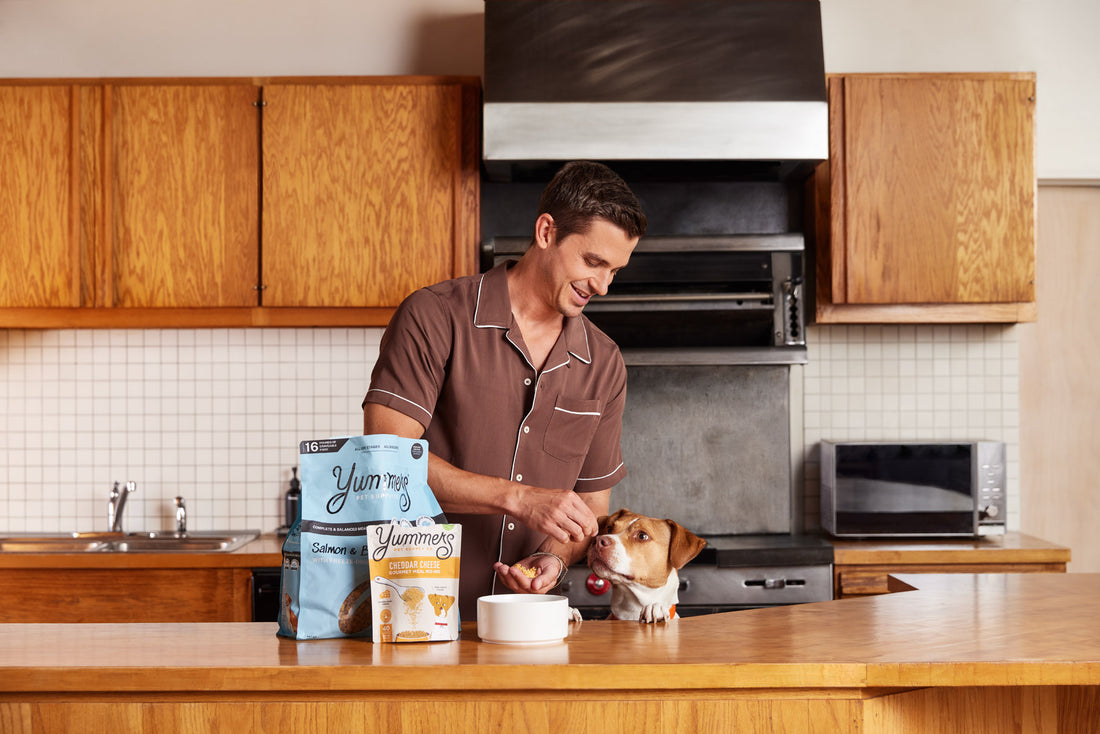 Gourmet pet food and mix-ins | Yummers